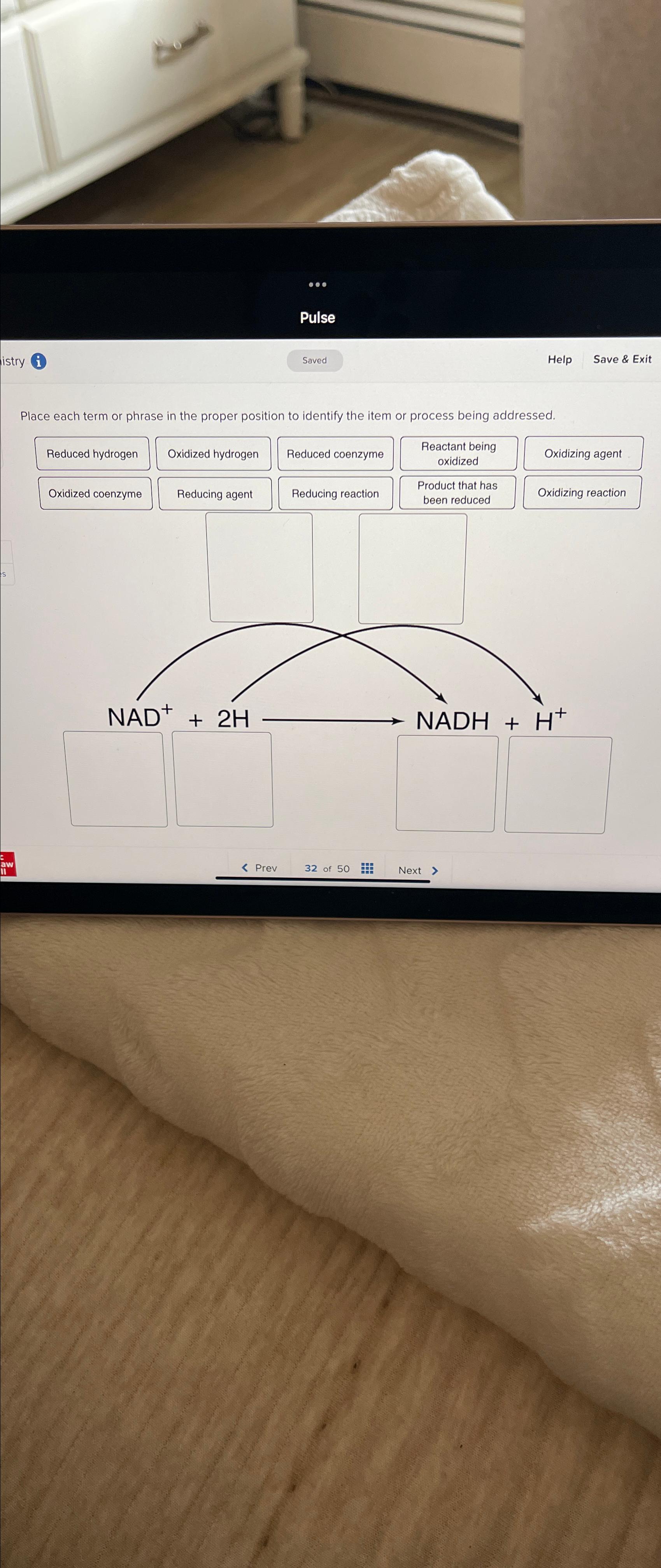 Solved Pulseistry iSaveHelpSave & ExitPlace each term or | Chegg.com