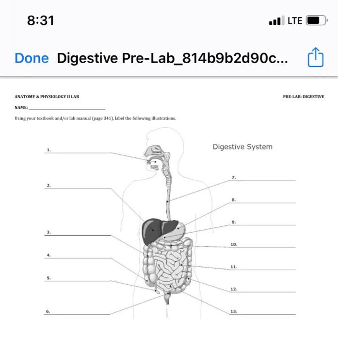 Solved ANATOMY & PHYSIOLOGY II LAB PRE-LAB: DIGESTIVE NAME: | Chegg.com