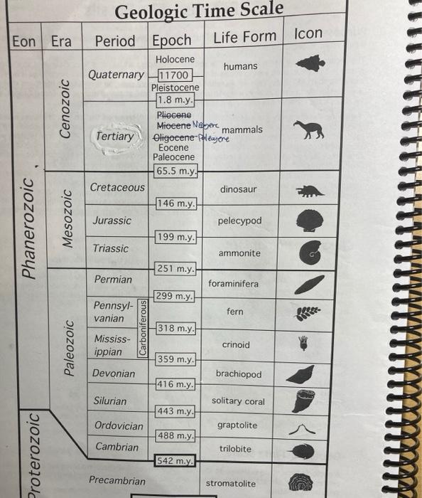 Solved Relative Age Dating Diagrams with Fossils Use the | Chegg.com