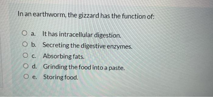 Solved In an earthworm, the gizzard has the function of: O | Chegg.com