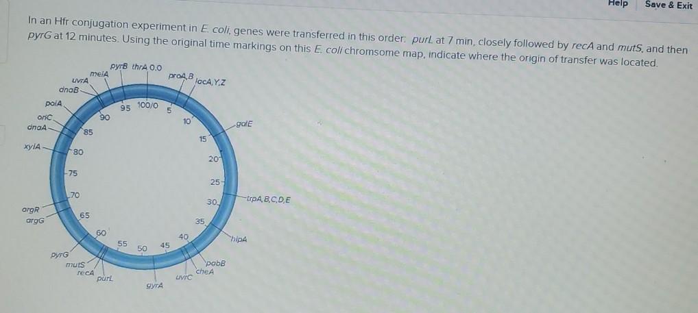 Solved Help Save & Exit In an Hfr conjugation experiment in | Chegg.com