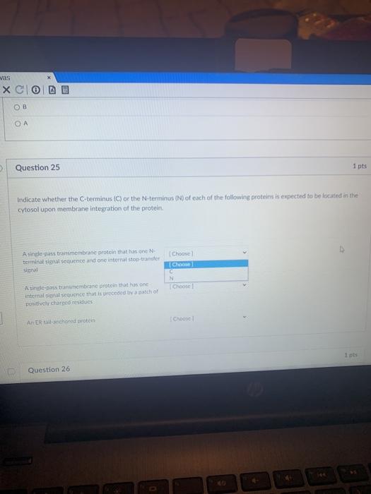 Solved 1) Rab5 and Rab7 constitite a Rab cascade in the | Chegg.com