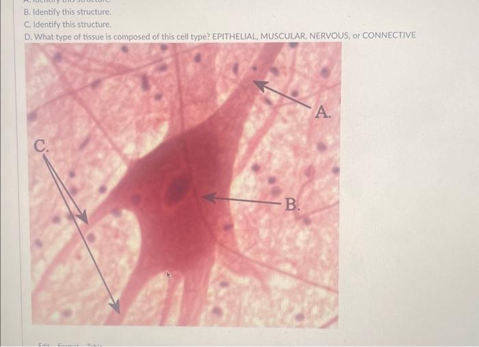 Solved B. Identify this structure. C. Identify this | Chegg.com Solved B. Identify this structure. C. Identify this | Chegg.com