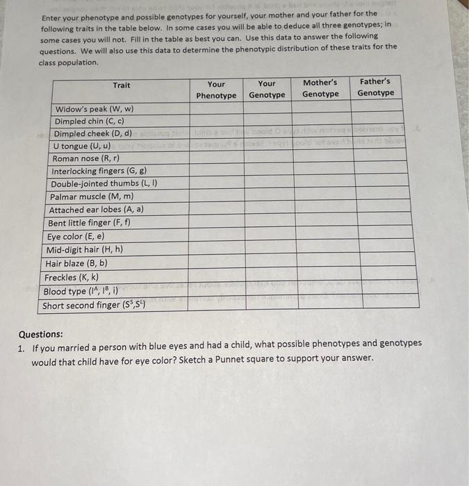 Solved Enter your phenotype and possible genotypes for | Chegg.com