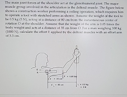 Solved The main joint forces at the shoulder act at the | Chegg.com