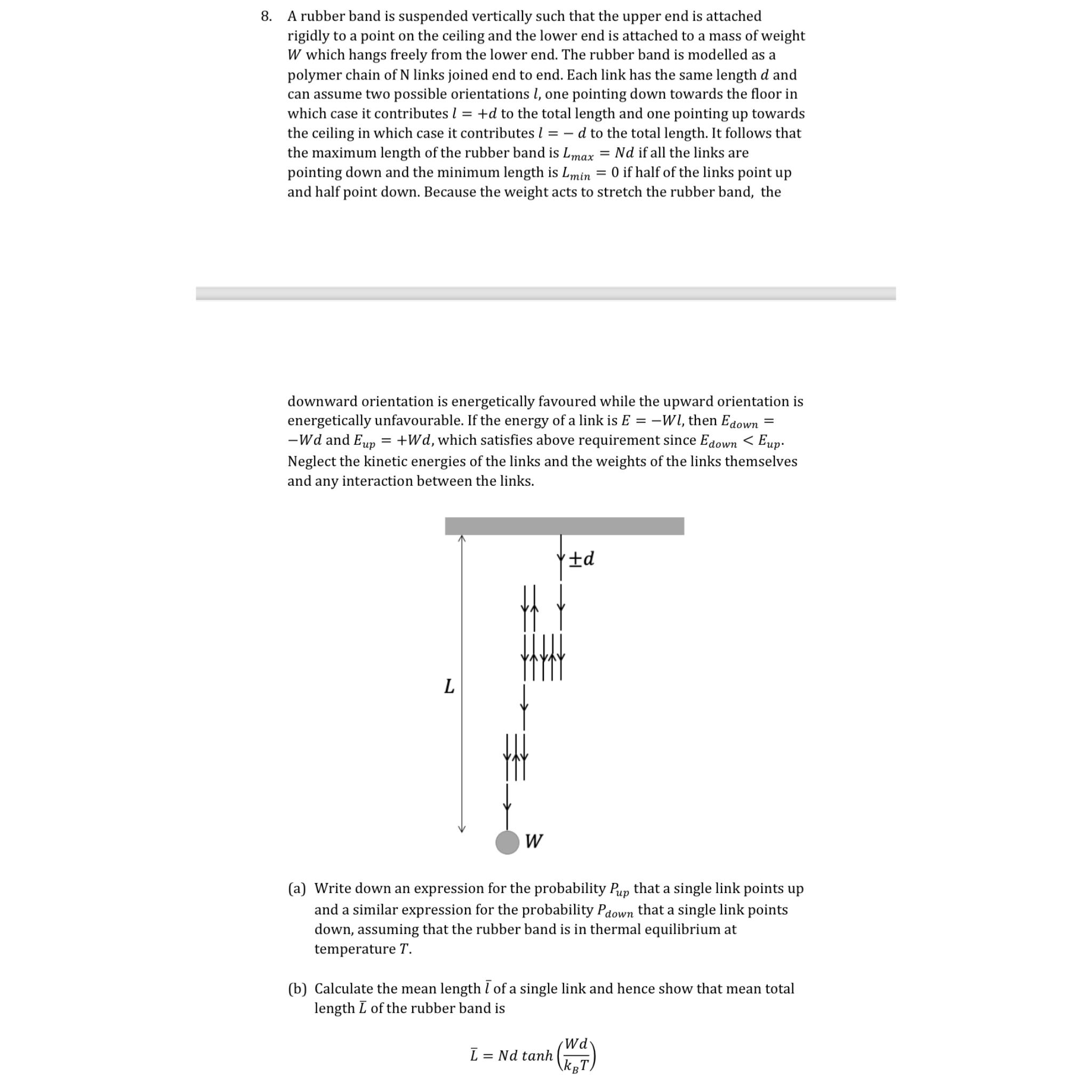 Solved A rubber band is suspended vertically such that the | Chegg.com