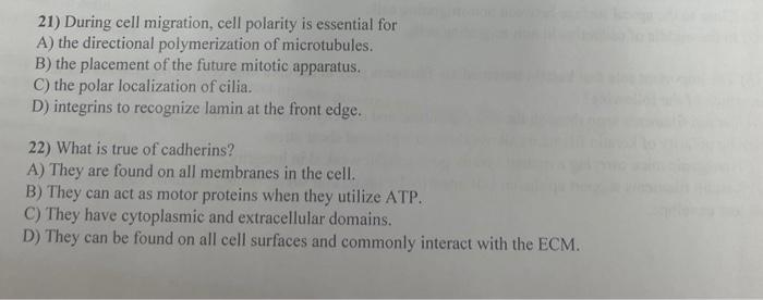 Solved 21) During cell migration, cell polarity is essential | Chegg.com