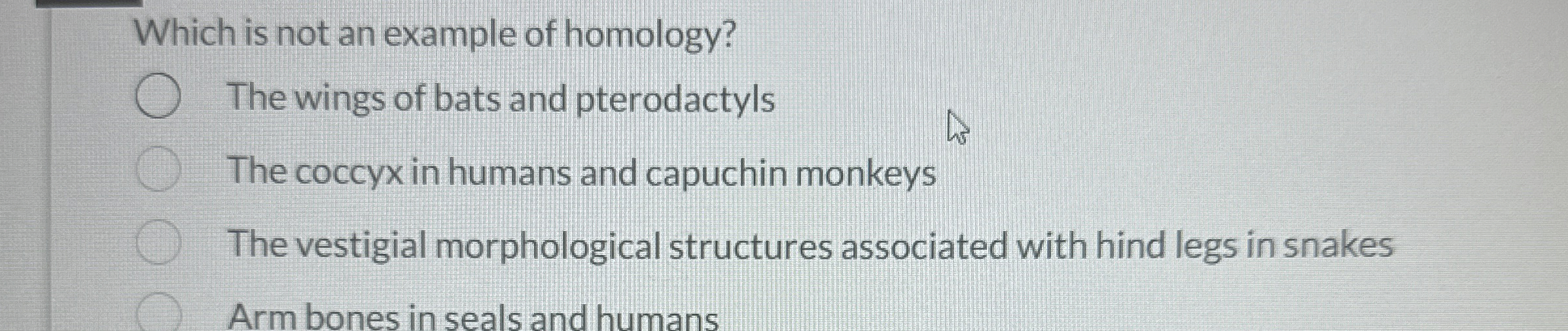 Solved Which is not an example of homology?The wings of bats | Chegg.com