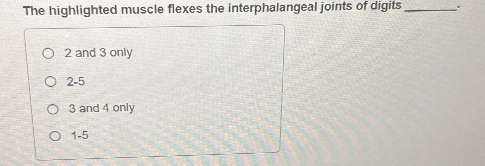 Solved The highlighted muscle flexes the interphalangeal | Chegg.com