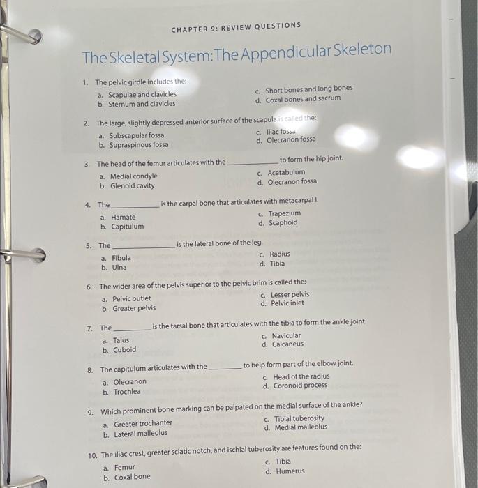 Solved The Skeletal System:The Appendicular Skeleton 1. The | Chegg.com