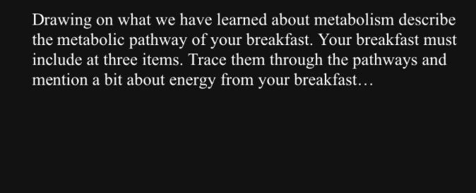 Solved Drawing on what we have learned about metabolism | Chegg.com