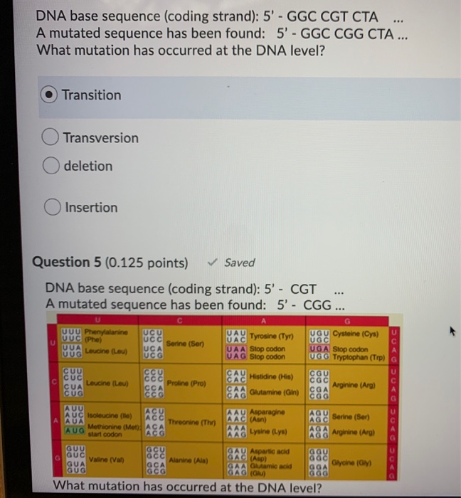 Solved DNA base sequence (coding strand): 5'- GGC CGT CTA | Chegg.com