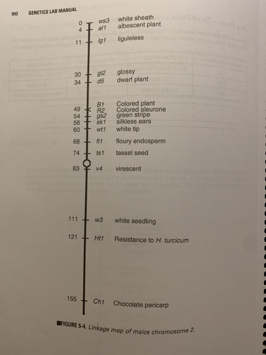 LFIGURE 5-4. Linkage map of maize chromosome 2. 90 | Chegg.com