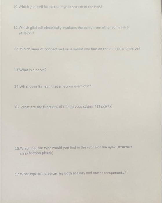 Solved Neuromuscular Junction Worksheet 1. Draw a neuron and | Chegg.com