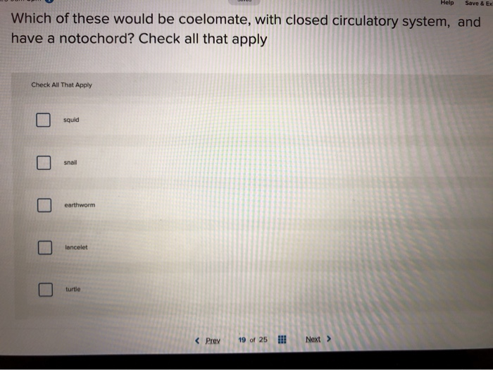 Solved Help Which of these are protostomes? Check all that | Chegg.com