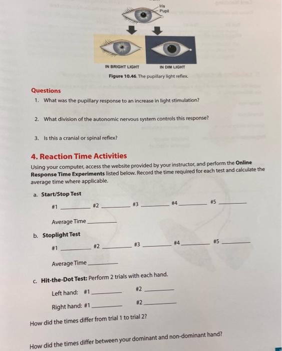 Solved Iris Pupil IN BRIGHT LIGHT IN DIM LIGHT Figure 10.46. | Chegg.com