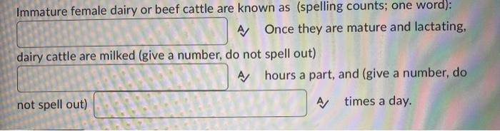 Immature female dairy or beef cattle are known as | Chegg.com