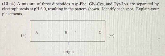 Solved A mixture of three dipeptides Asp-Phe, Gly-Cys, and | Chegg.com