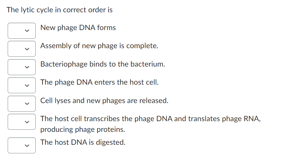 Solved The lytic cycle in correct order is__ ﻿New phage DNA | Chegg.com