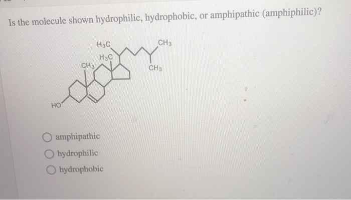 Solved Is the molecule shown hydrophilic, hydrophobic, or | Chegg.com