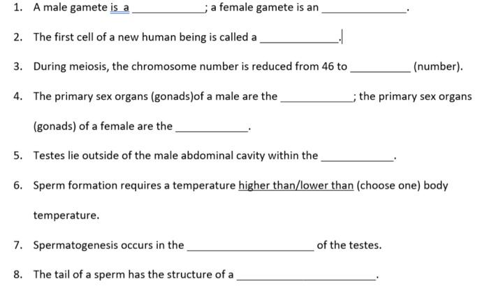 Solved 1. A male gamete is a ; a female gamete is an 2. The | Chegg.com
