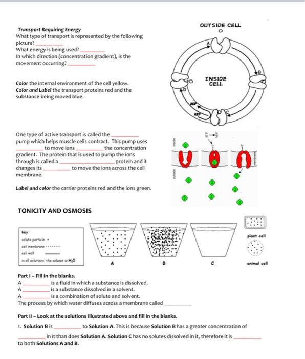 Solved OUTSIDE CELL. O Transport Requiring Energy What type | Chegg.com