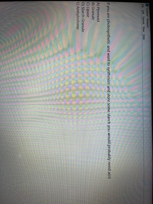 Solved United Notepad File Edit Format View Help If you are | Chegg.com