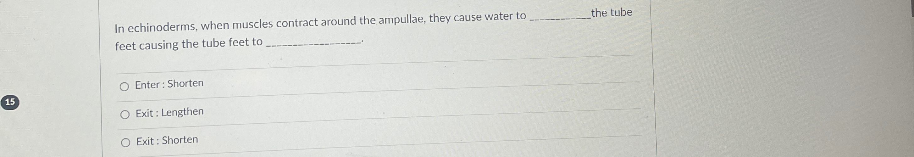 Solved In echinoderms, when muscles contract around the | Chegg.com