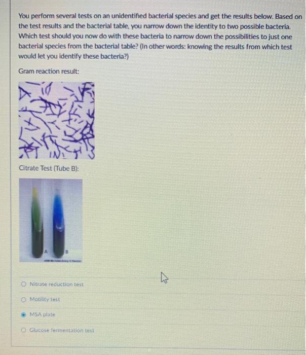 Solved You perform several tests on an unidentified | Chegg.com