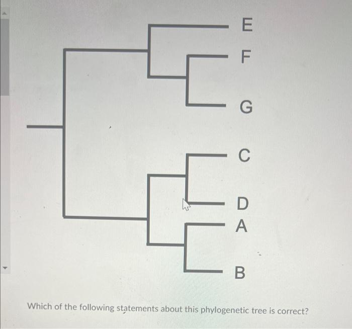 Solved Question 51 (1 point) Tree 2 True or False. In Tree 1 | Chegg.com