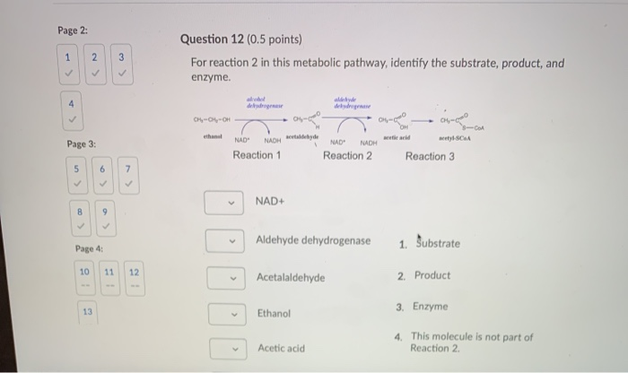 Solved For reaction 2 in this metabolic pathway, identify | Chegg.com