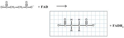 Solved Complete the following oxidation reactions. Include | Chegg.com