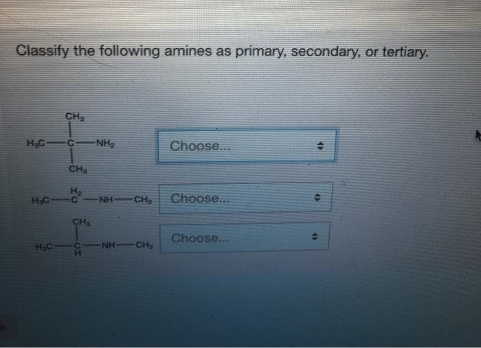 Solved Classify the following amines as primary, secondary, | Chegg.com