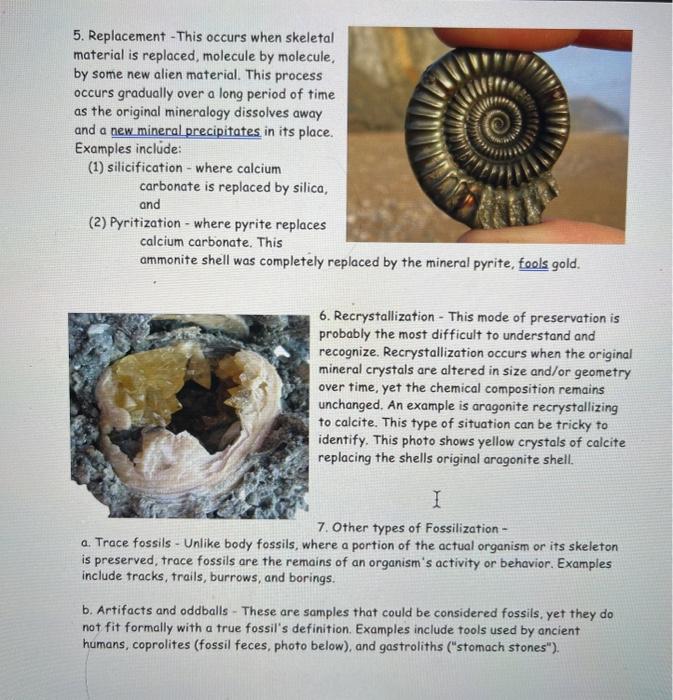 Solved Types of fossils There are many ways in which a | Chegg.com