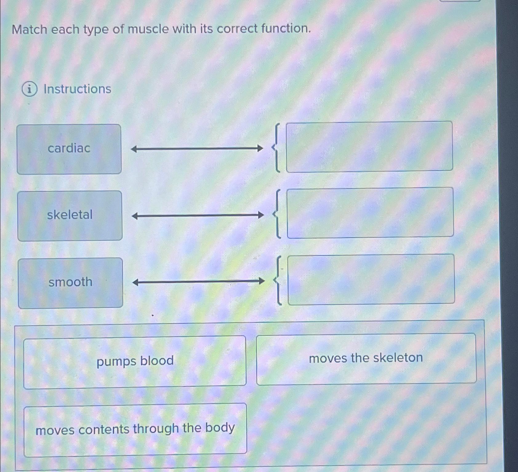Solved Match Each Type Of Muscle With Its Correct
