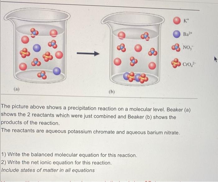 Solved The picture above shows a precipitation reaction on a | Chegg.com