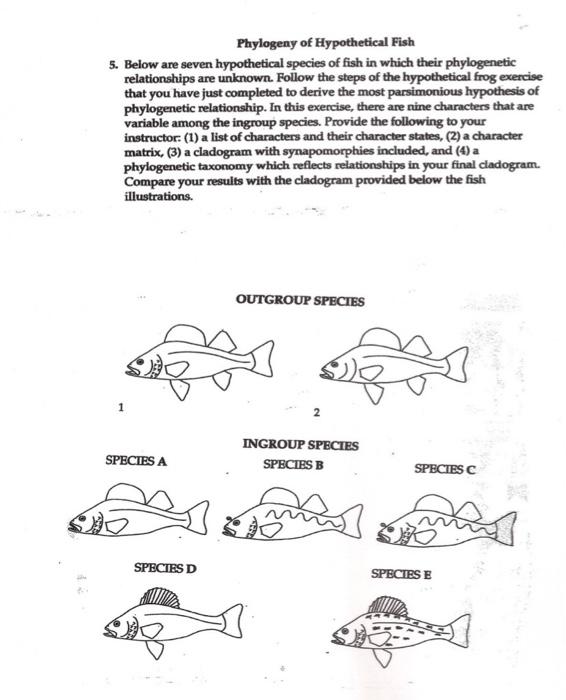 Solved Phylogeny of Hypothetical Fish 5. Below are seven | Chegg.com