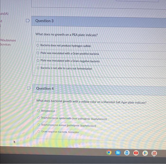 Solved What does no growth on a PEA plate indicate? Bacteria | Chegg.com