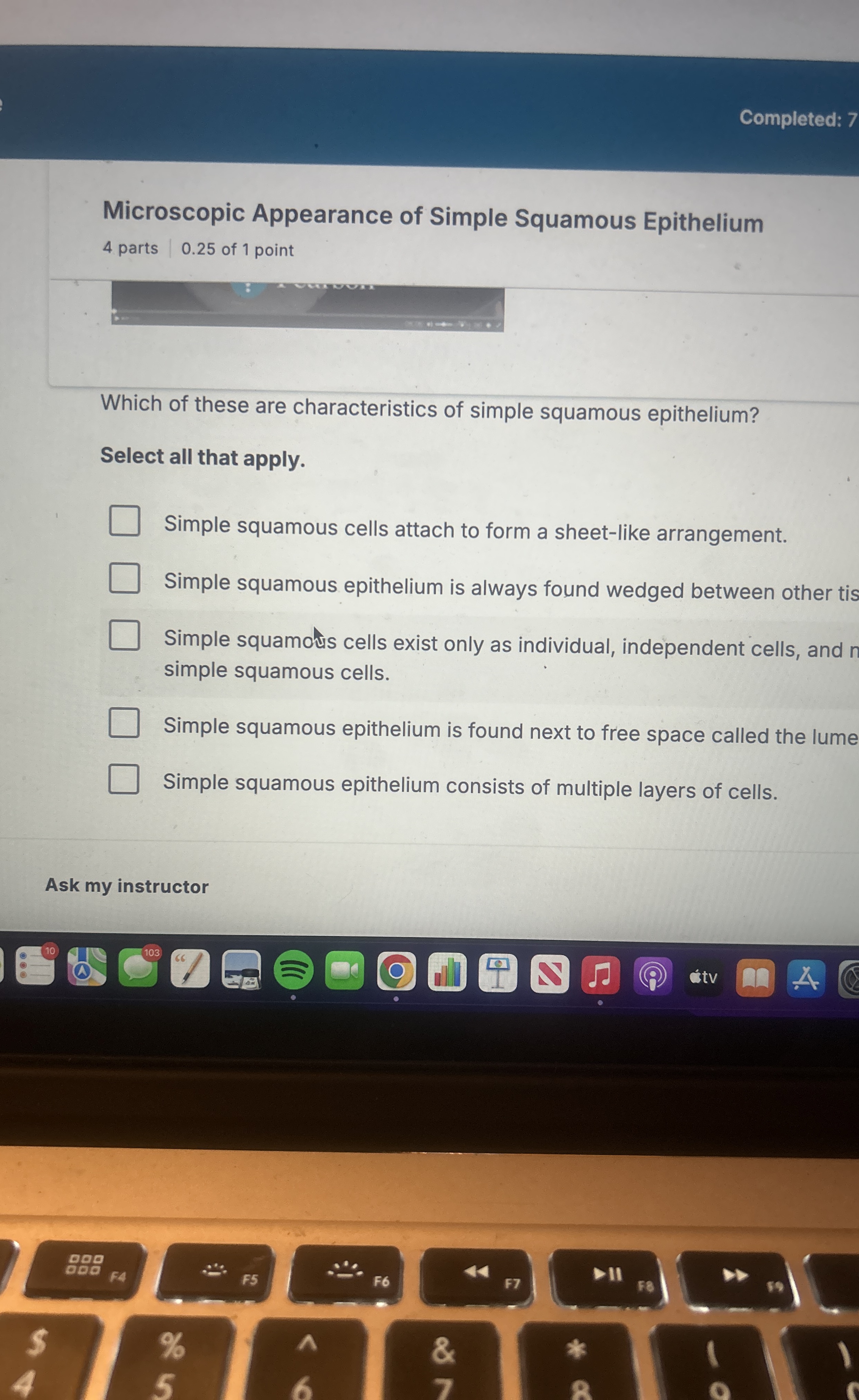 Completed: 7Microscopic Appearance of Simple Squamous | Chegg.com