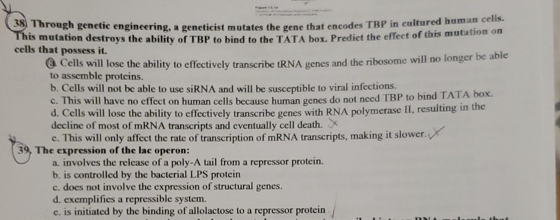 Solved 38. Through genetic engineering, a geneticist mutates | Chegg.com