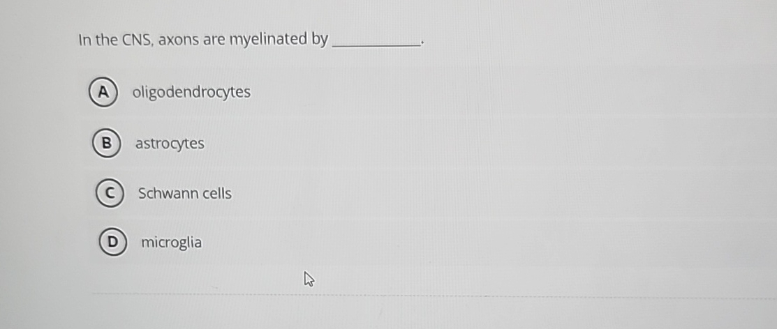 Solved In the CNS, ﻿axons are myelinated | Chegg.com