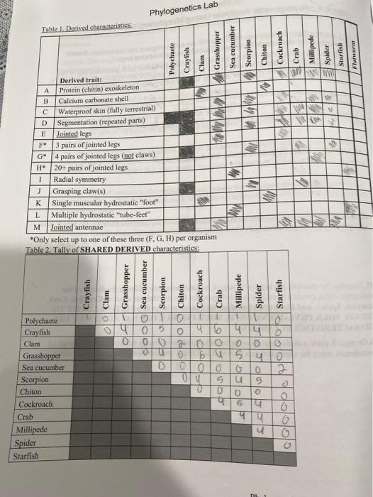 Construct a parsimonious cladogram for the 11 | Chegg.com