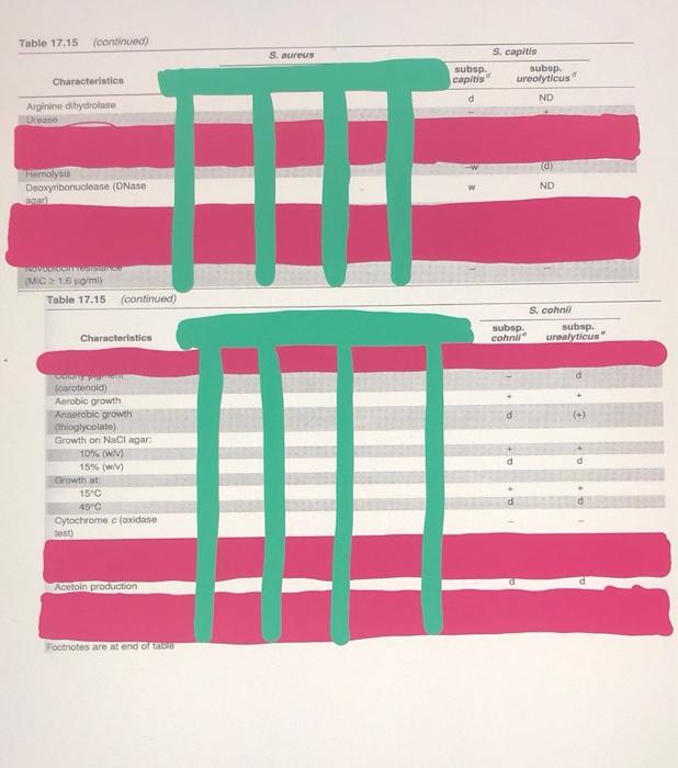 Project #3 Staphylococcus Unknown Flow Diagram | Chegg.com