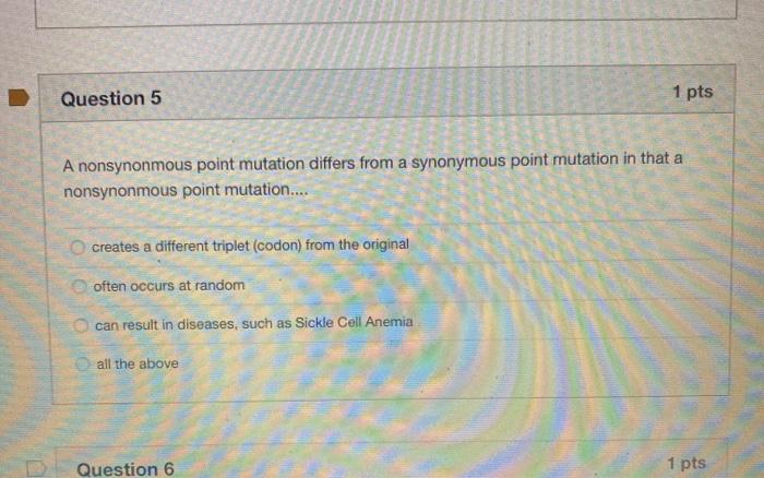 Solved Question 5 1 pts A nonsynonmous point mutation | Chegg.com
