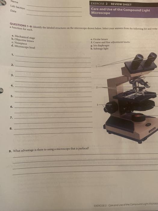 Solved QUESTIONS 1-8: Identify the labeled structures on the | Chegg.com