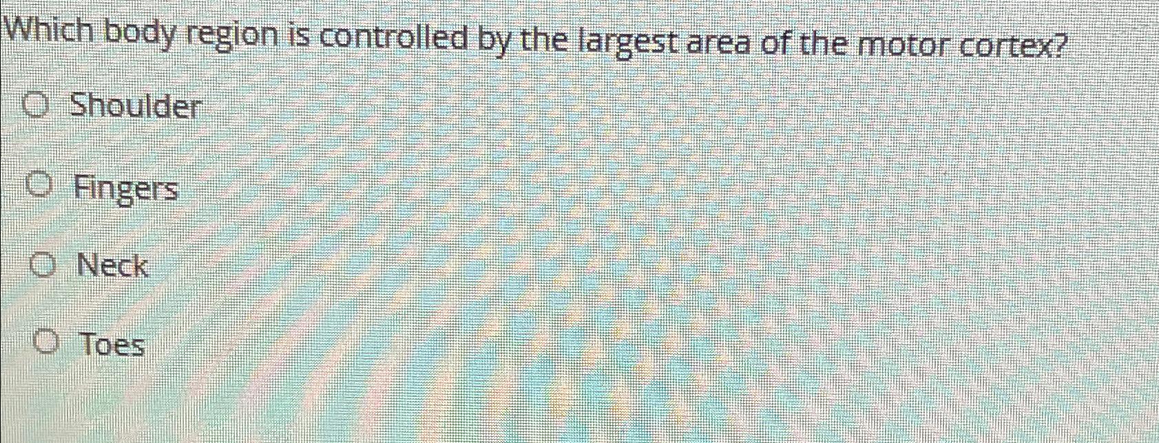 Solved Which body region is controlled by the largest area | Chegg.com