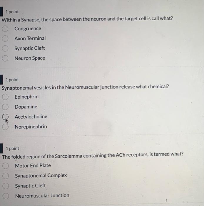 Solved 1 polat Within a Synapse, the space between the | Chegg.com