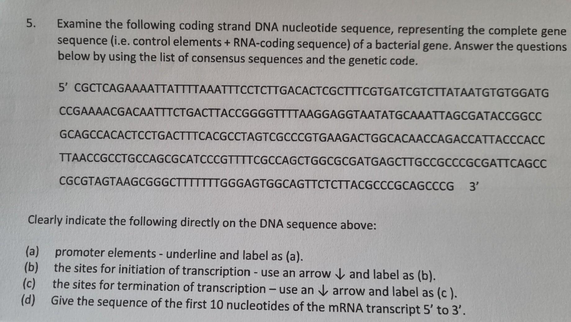 Solved 5. Examine the following coding strand DNA nucleotide | Chegg.com