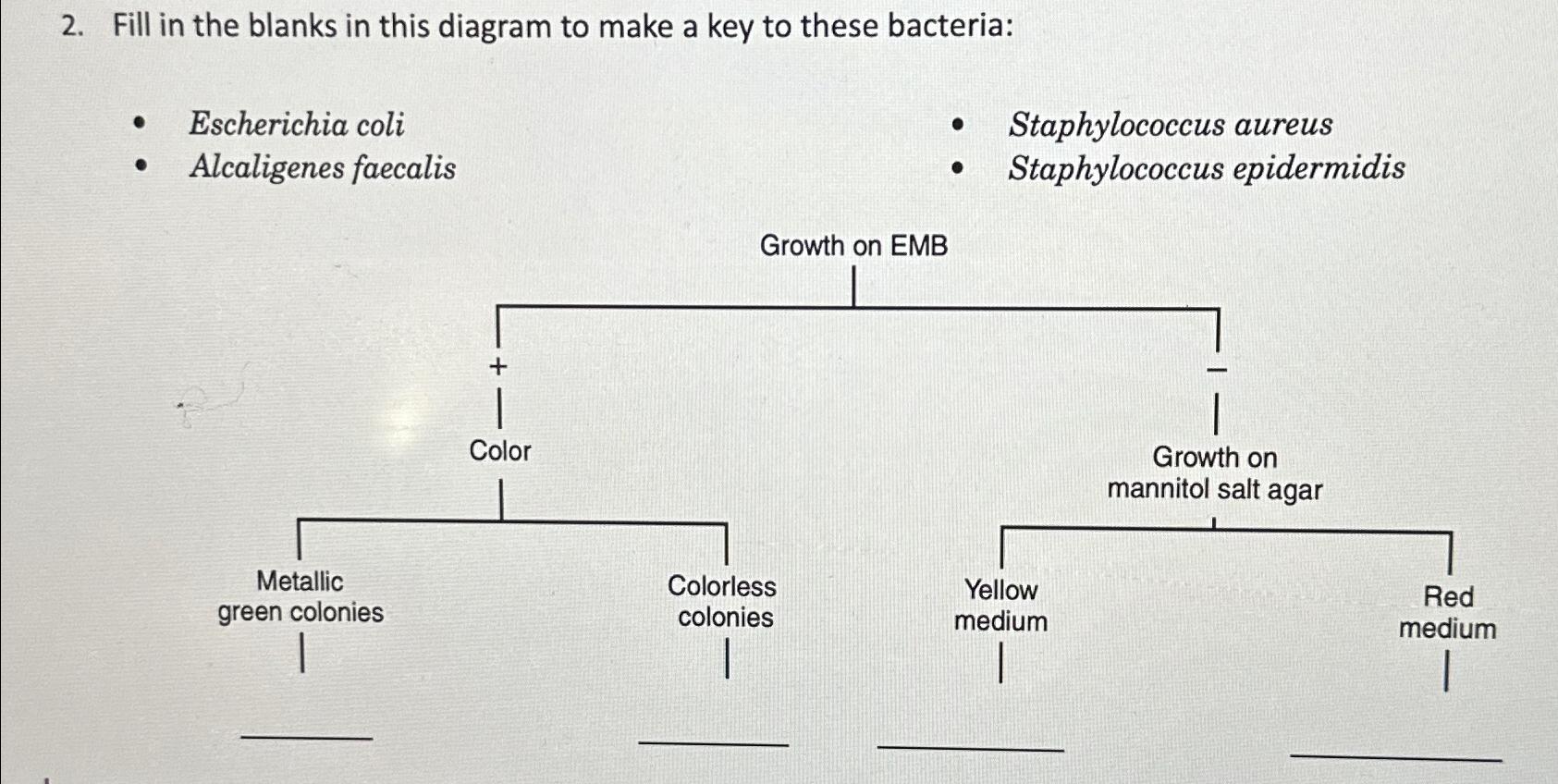Solved Fill in the blanks in this diagram to make a key to | Chegg.com