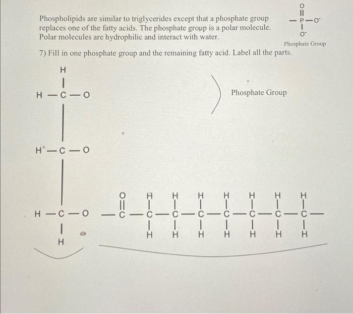 Solved Hydrocarbon Hydrocarbon Chain Hydrocarbon chains vary | Chegg.com